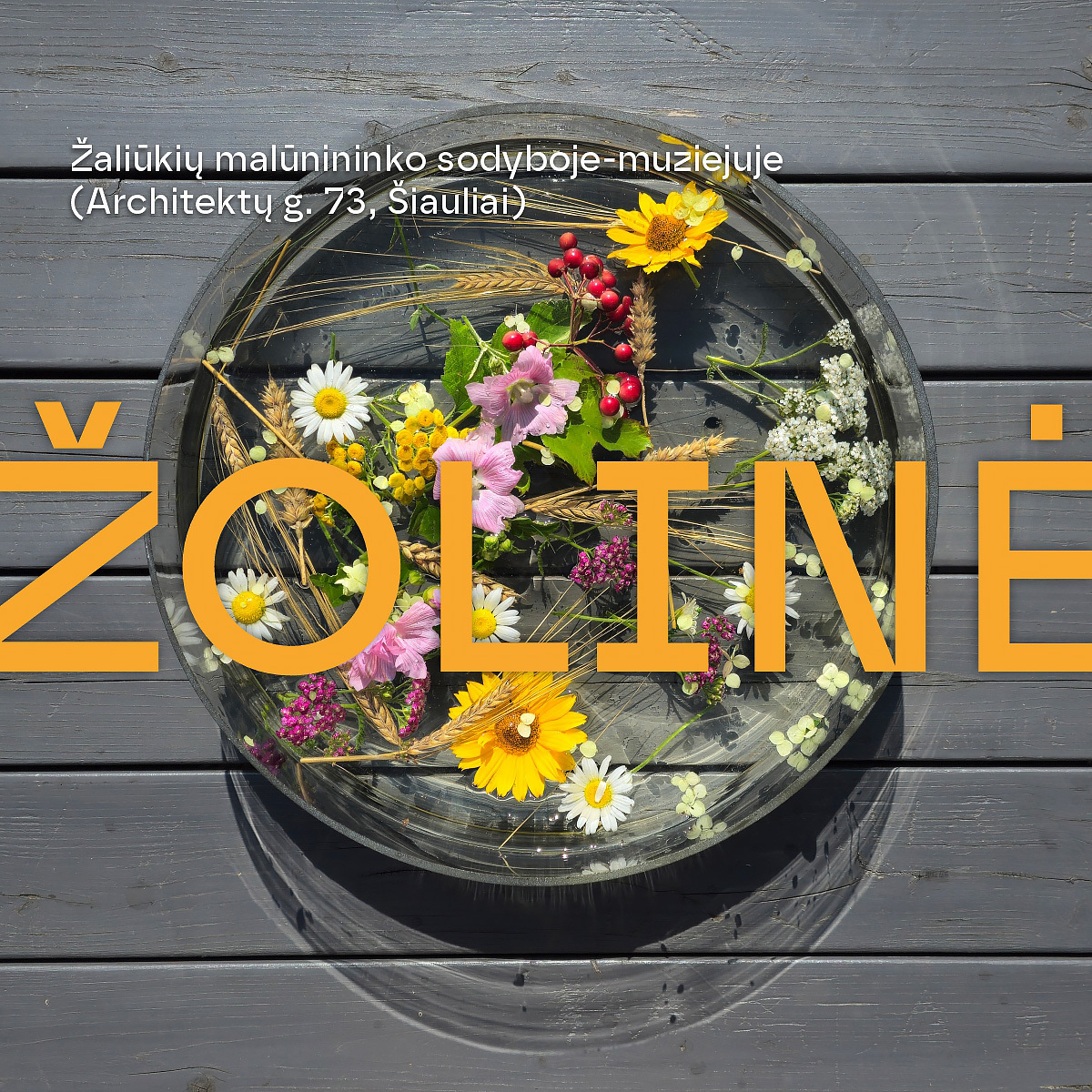 ŠIAULIAI - Žolinės šventė Žaliūkių malūnininko sodyboje-muziejuje